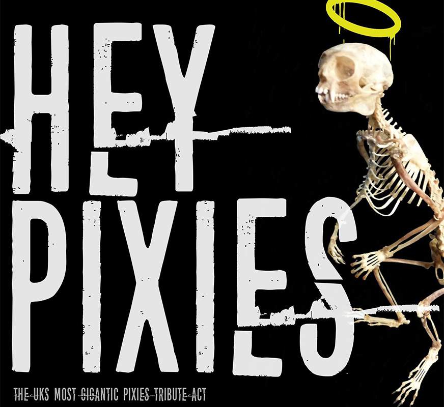 Hey Pixies - Docks Academy